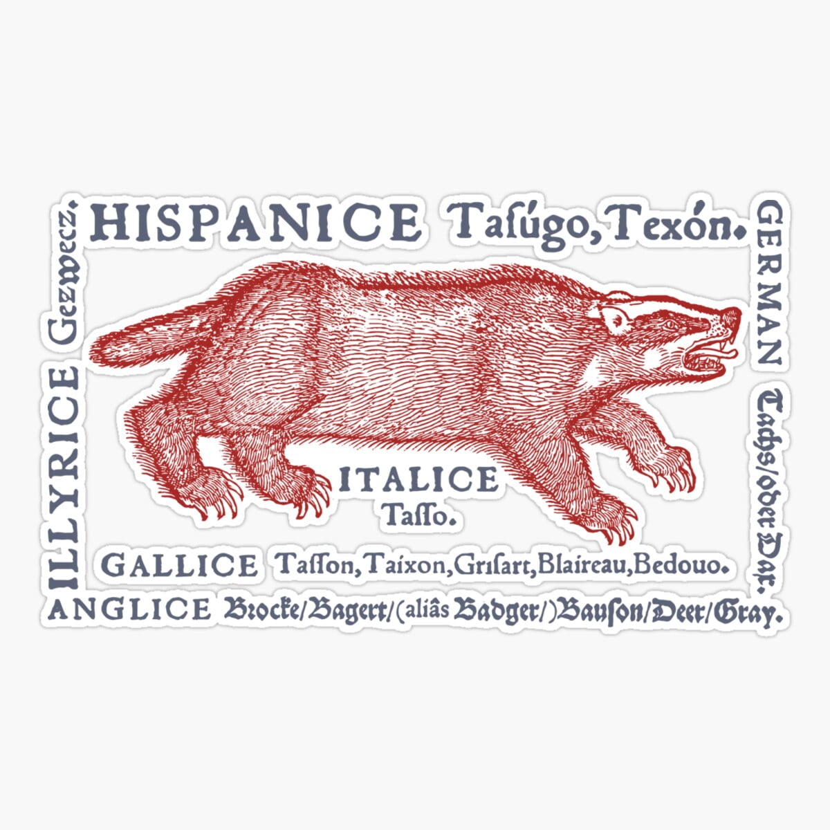 Onim Medieval Badger With Translations From Year 1560 Sticker, Phone ...