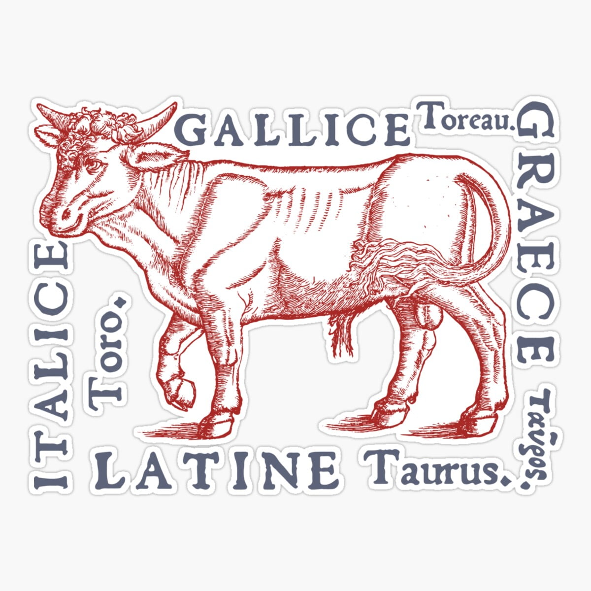 Onim Medieval Red Bull With Translations From Year 1560 Sticker, Phone ...