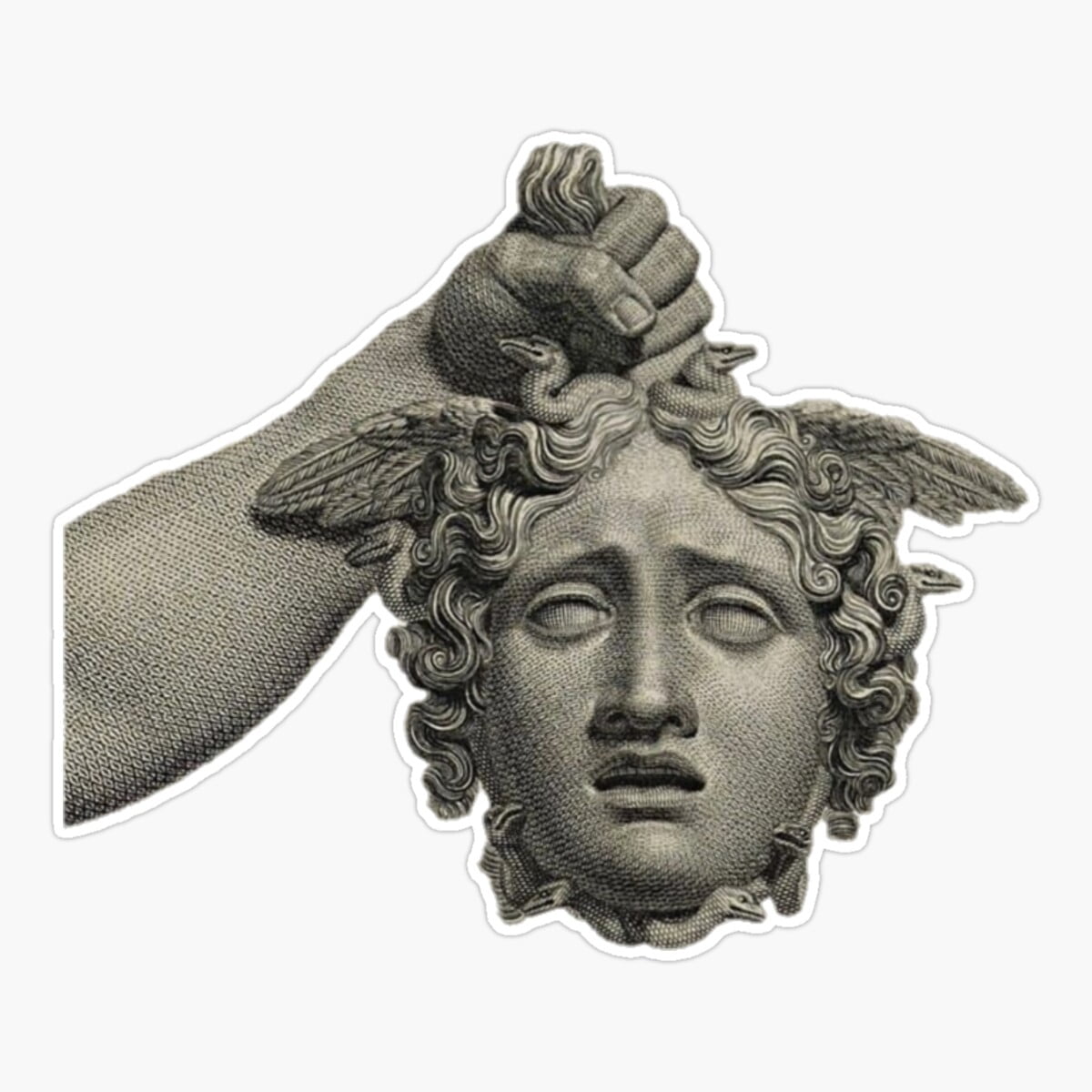 Onim Medusa Sticker, Phone Decal Water Bottle Stickers Car Decals ...