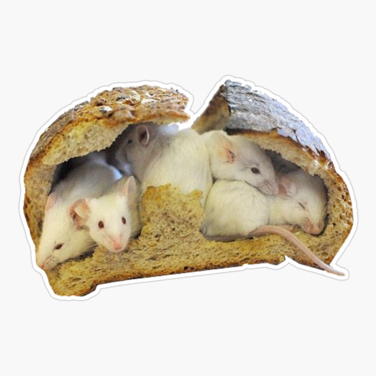 Onim Mice Bread Sticker, Phone Decal Water Bottle Stickers Car Decals ...