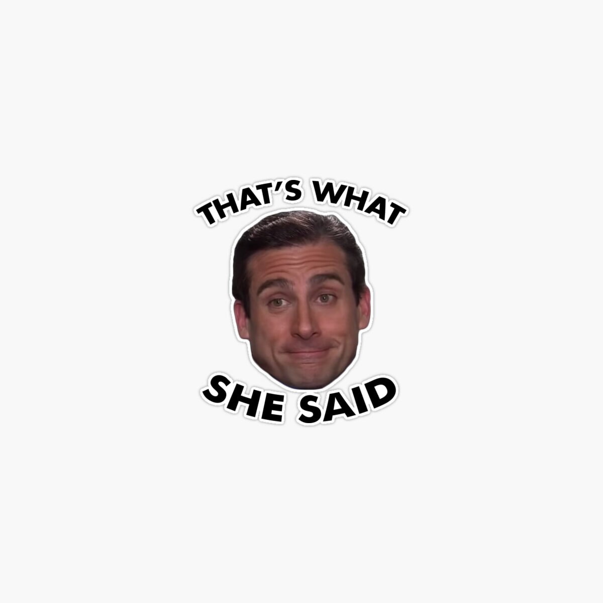 Onim Michael Scott That'S What She Said Sticker, Phone Decal Water ...