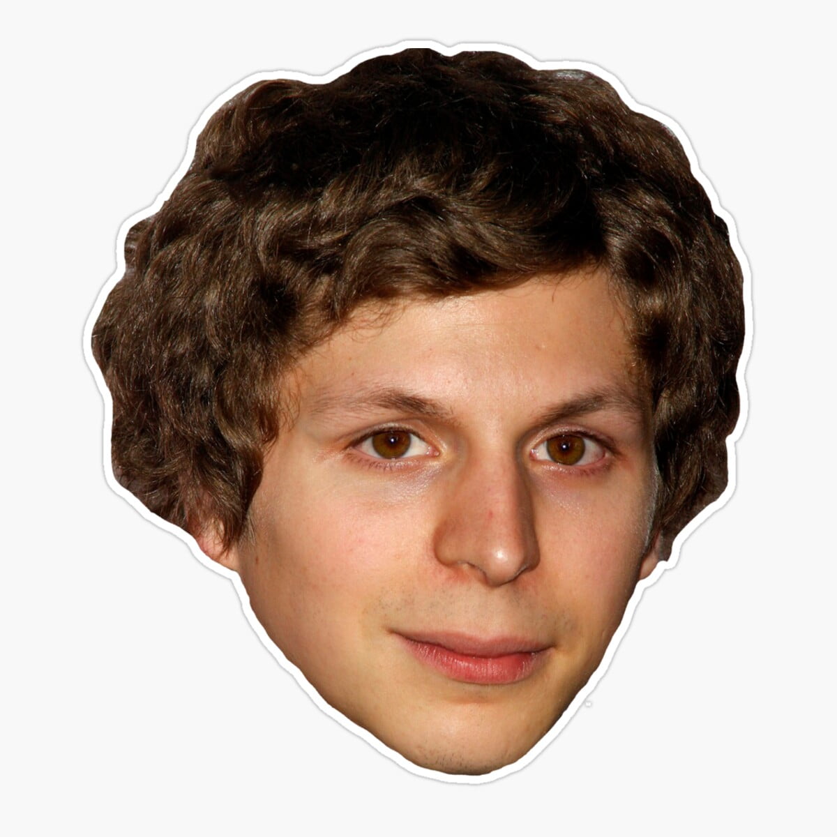 Onim Micheal Cera Head Sticker, Phone Decal Water Bottle Stickers Car ...