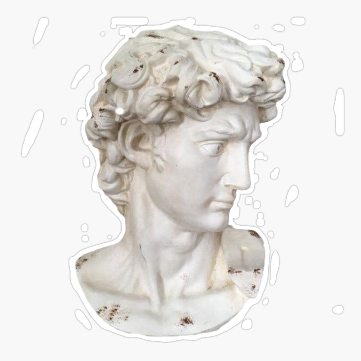 Onim Michelangelo'S David Statue Sticker, Phone Decal Water Bottle ...