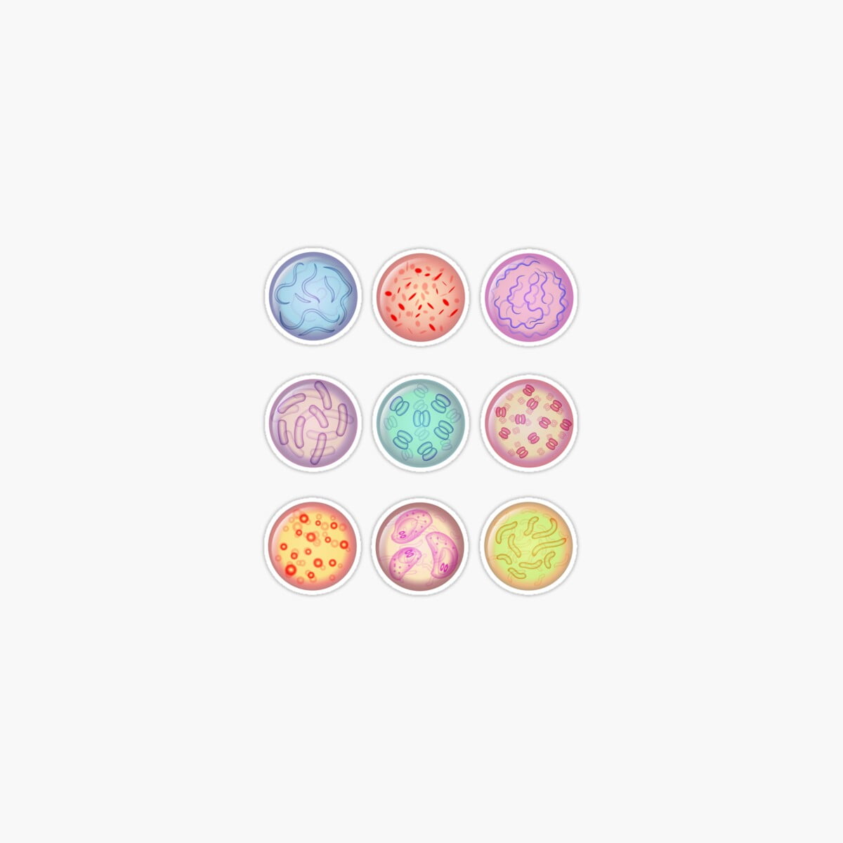 Onim Microbiological culture Collection, Bacteria Colony In Petri Dish ...