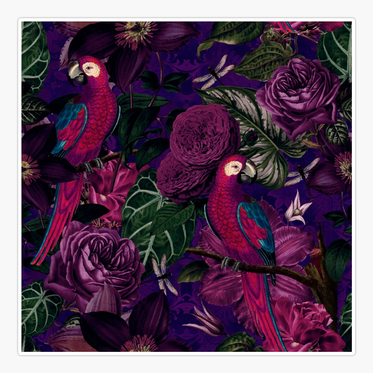 Onim Midnight Jungle Bird Tropical Paradise Vintage Botanical ...