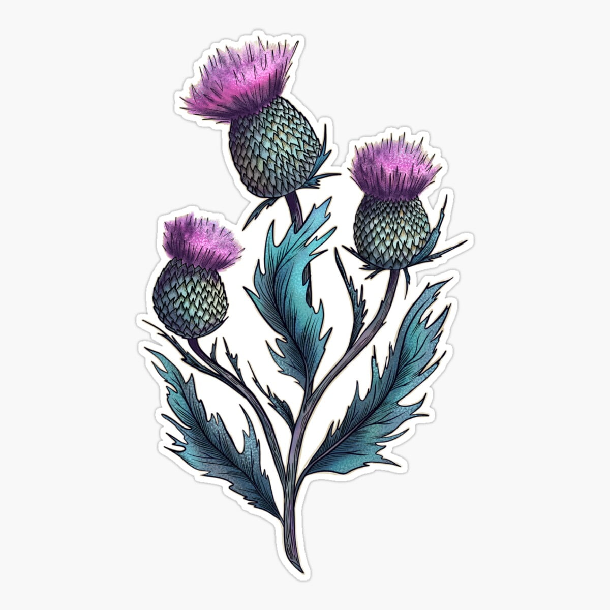 Onim Milk Thistle Magical Herbs Sticker, Phone Decal Water Bottle ...