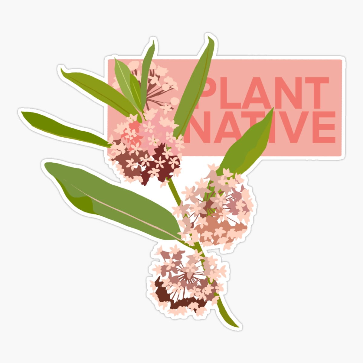 Onim Milkweed Plant Native Botanical Illustration Sticker, Phone Decal ...