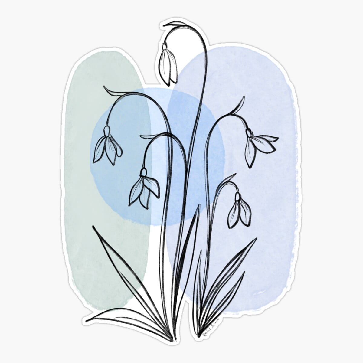 Onim Minimalist Snowdrop Flowers - Simple Botanical Drawing With Blue ...