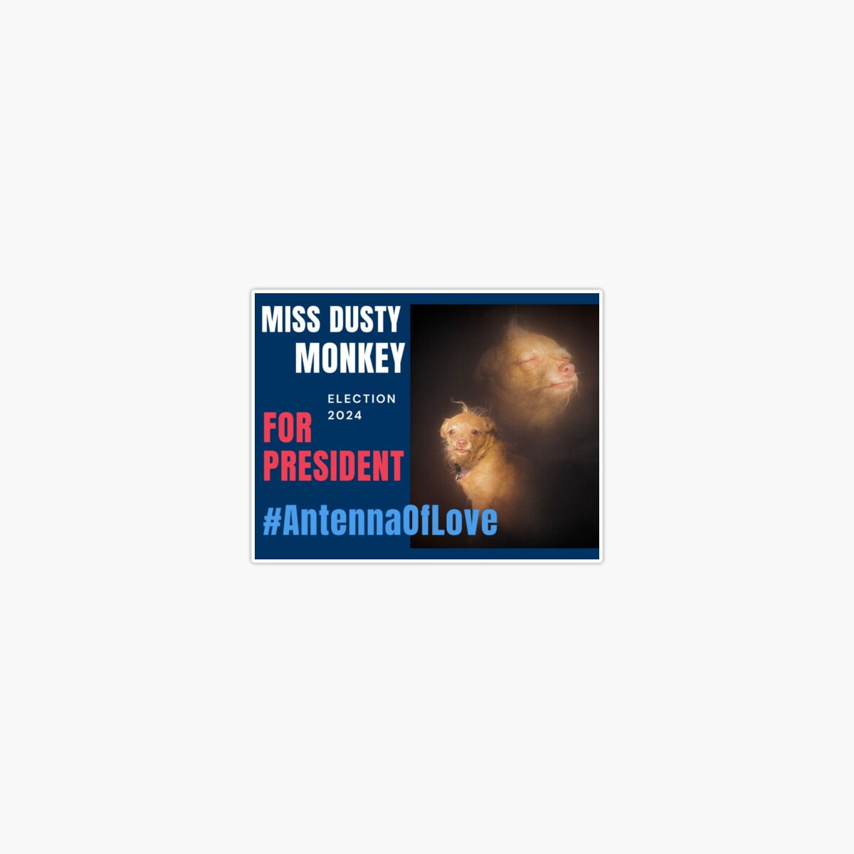 Onim Miss Dusty Monkey For President (Retro) Sticker, Phone Decal Water Bottle Stickers Car ...