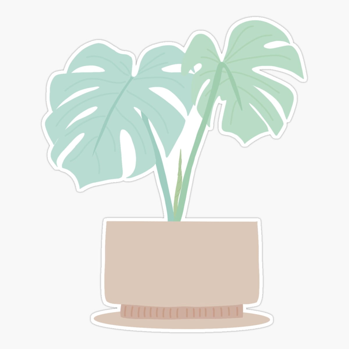 Onim Monstera Deliciosa Houseplant In A Terracotta Pot - Pastel Version ...