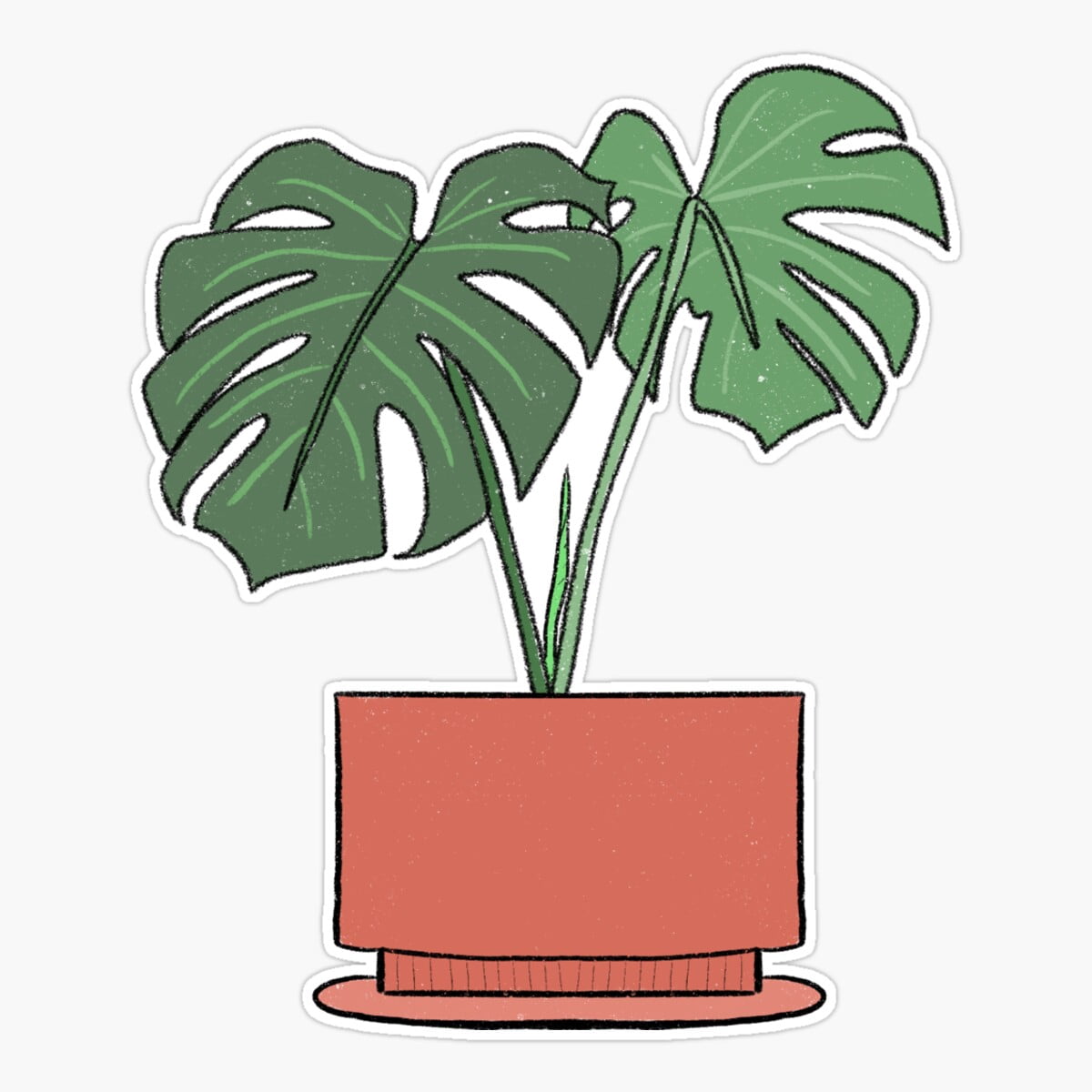 Onim Monstera Deliciosa Houseplant In A Terracotta Pot Sticker, Phone ...