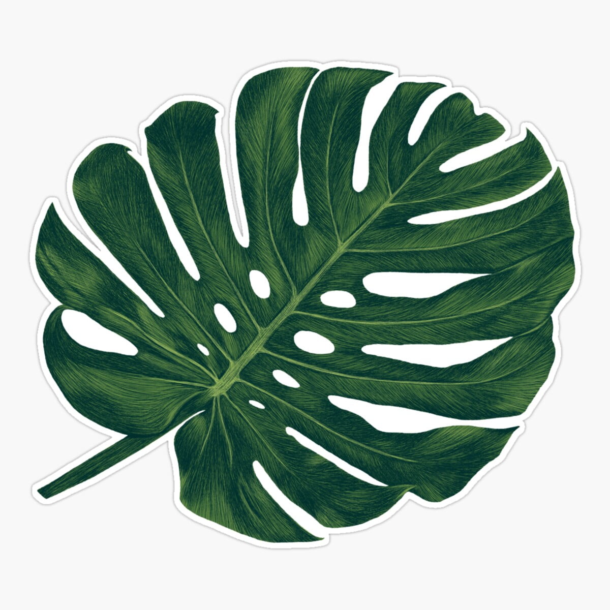 Onim Monstera Leaf Sticker, Phone Decal Water Bottle Stickers Car ...