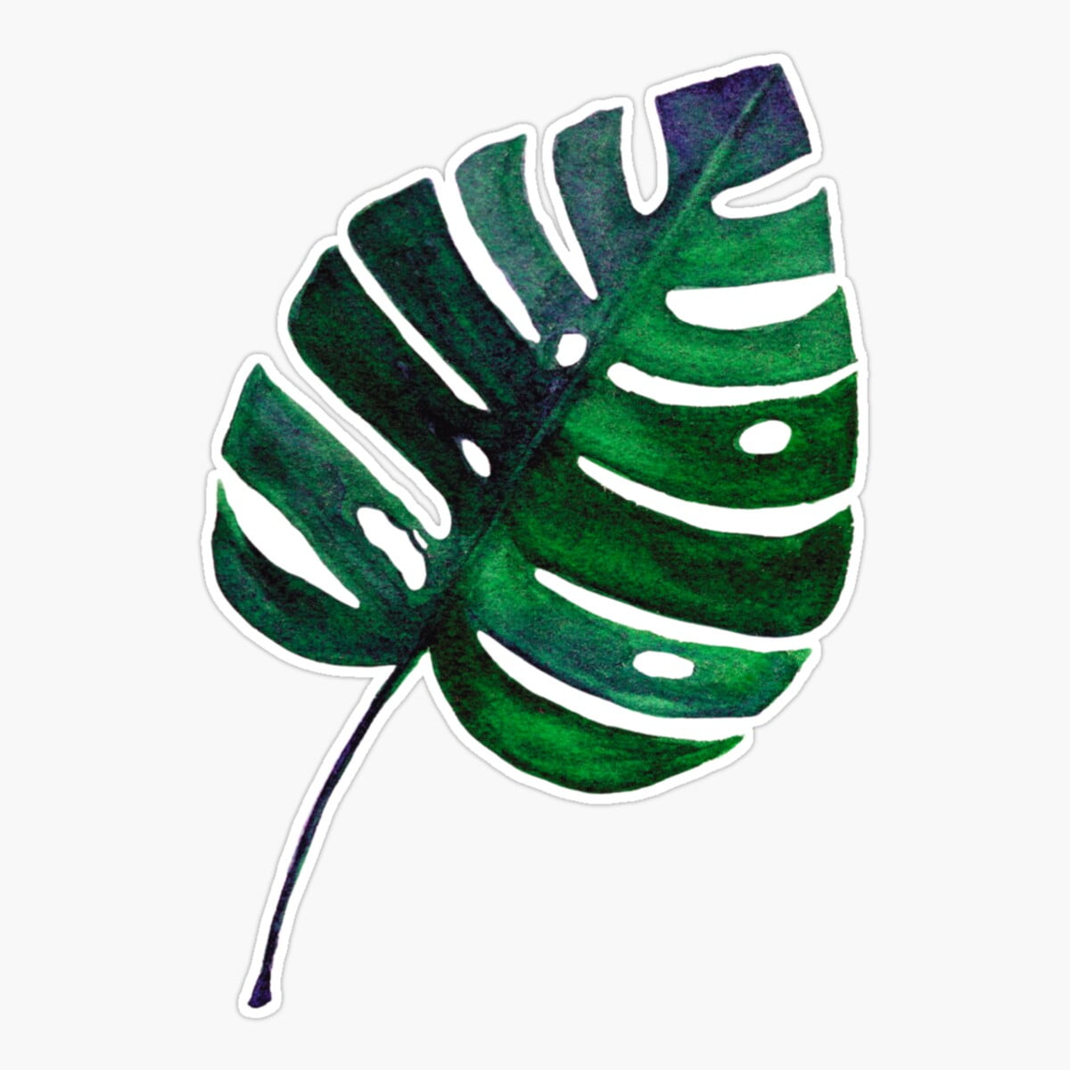 Onim Monstera Leaf Sticker, Phone Decal Water Bottle Stickers Car ...