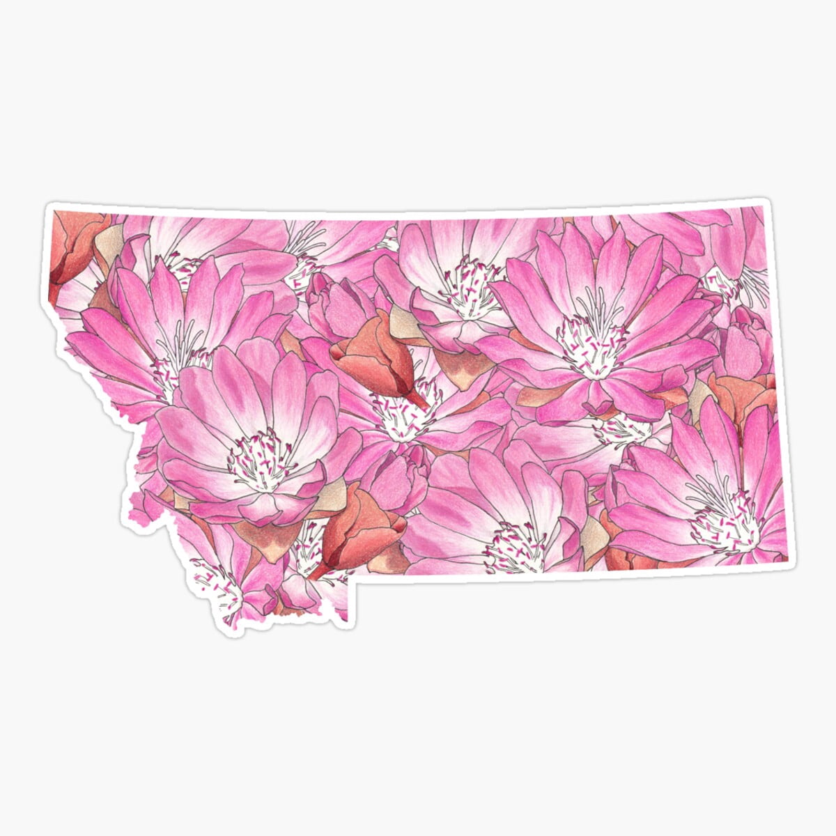 Onim Montana Flowers Sticker, Phone Decal Water Bottle Stickers Car ...