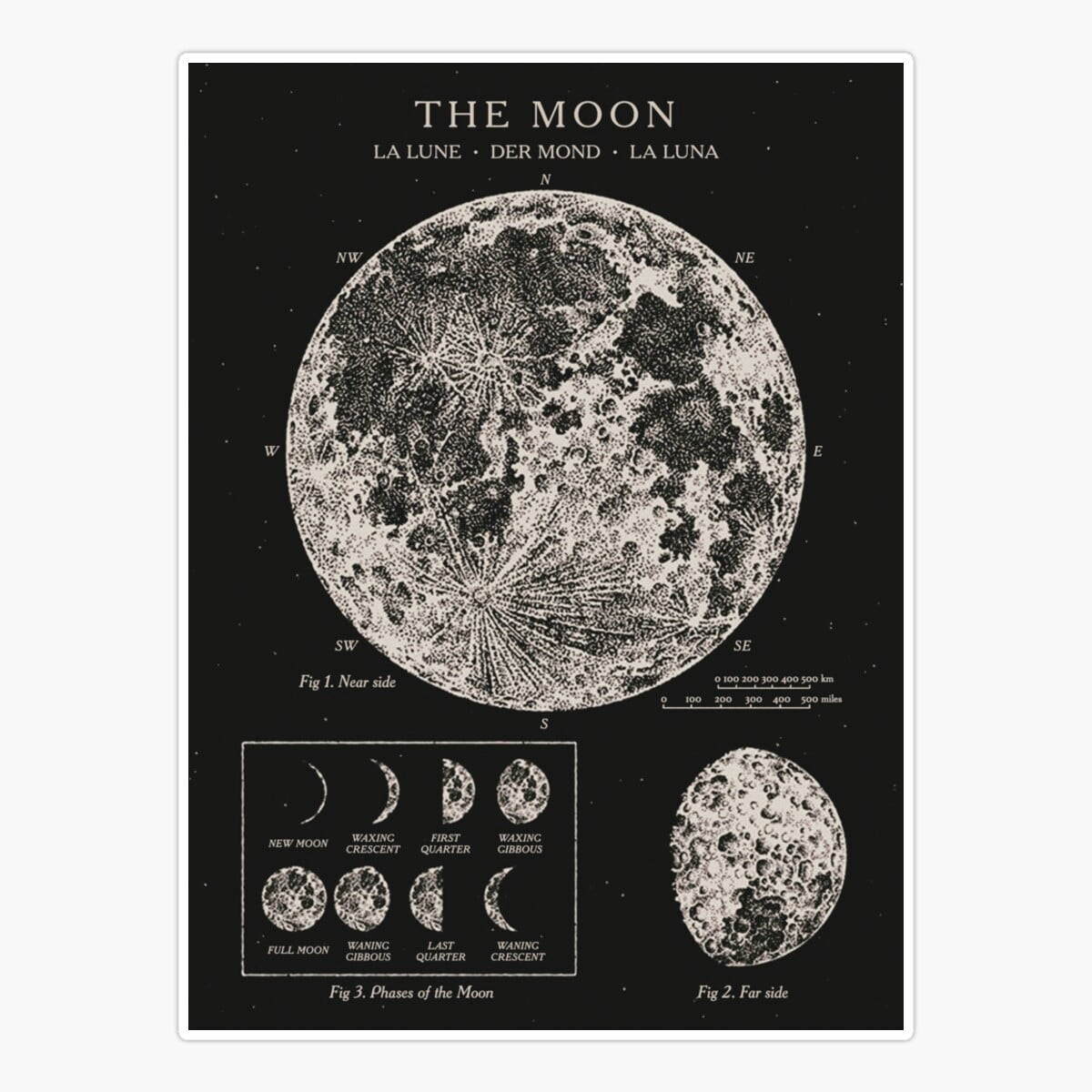 Onim Moon Phases Vintage Poster Sticker, Phone Decal Water Bottle ...