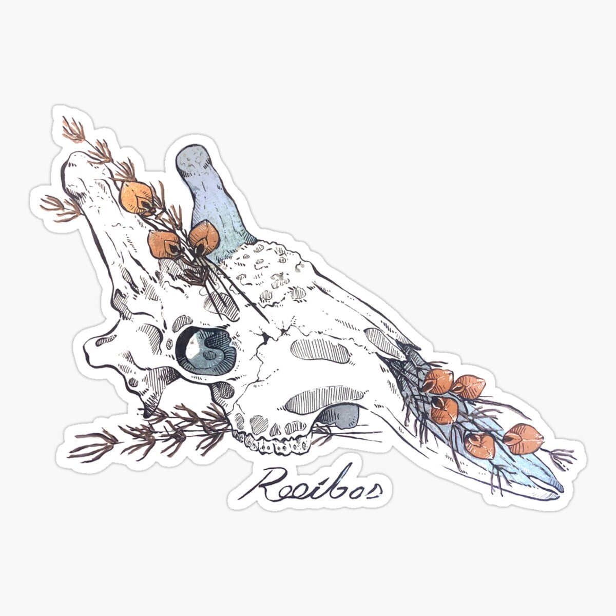 Onim Morbiditea - Rooibos With Giraffe Skull Sticker, Phone Decal Water ...