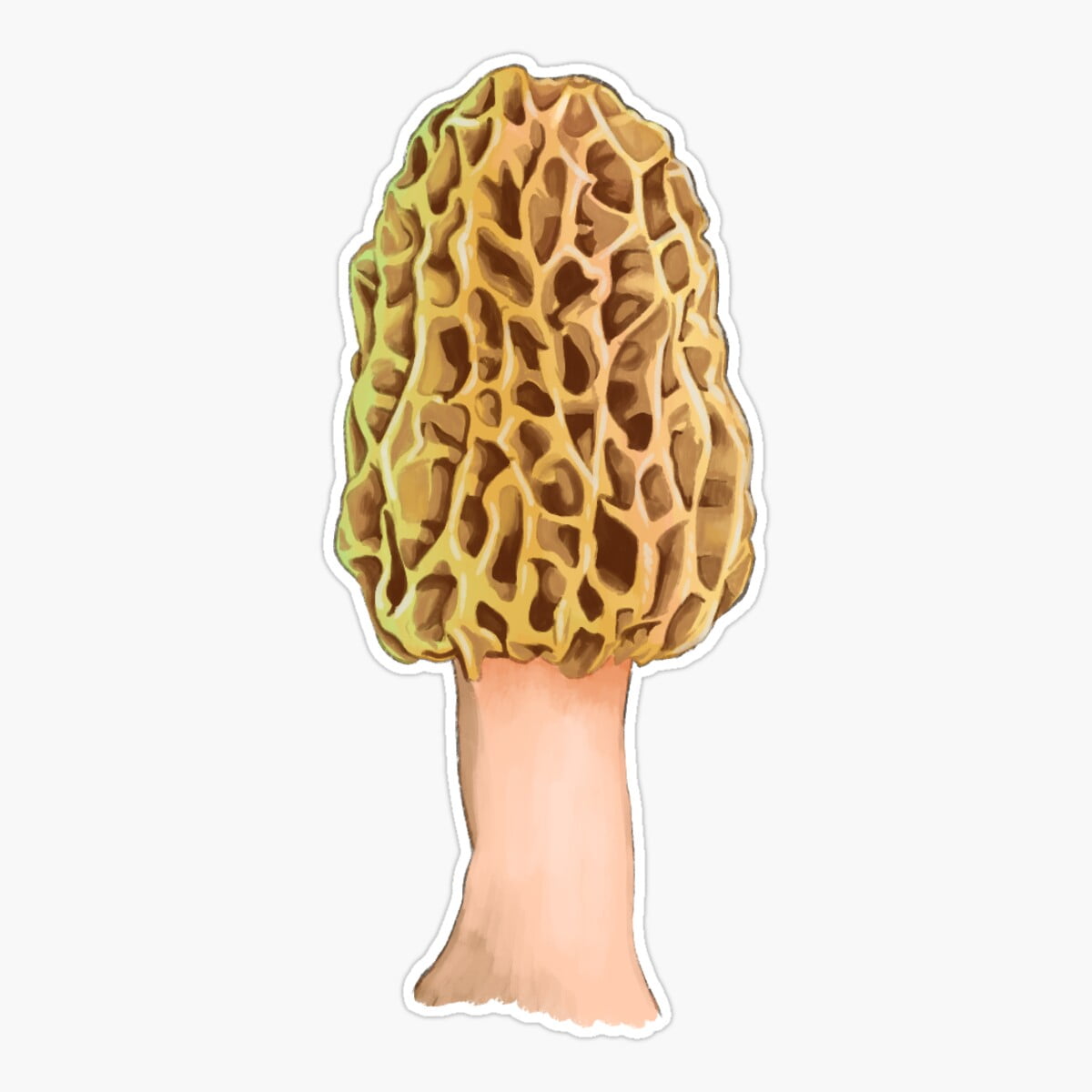 Onim Morel Sticker, Phone Decal Water Bottle Stickers Car Decals, Funny ...