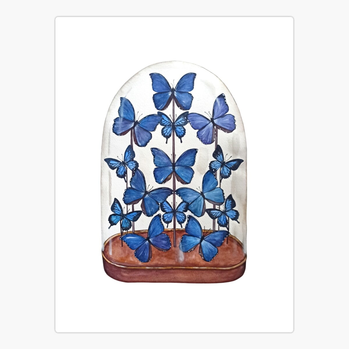 Onim Morpho Butterflies Glass Dome Sticker, Phone Decal Water Bottle ...