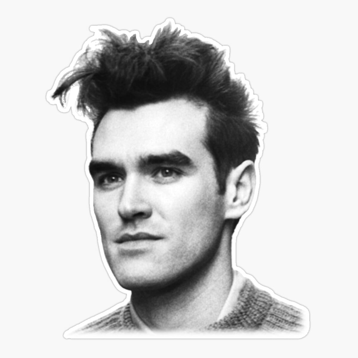 Onim Morrissey Sticker, Phone Decal Water Bottle Stickers Car Decals ...
