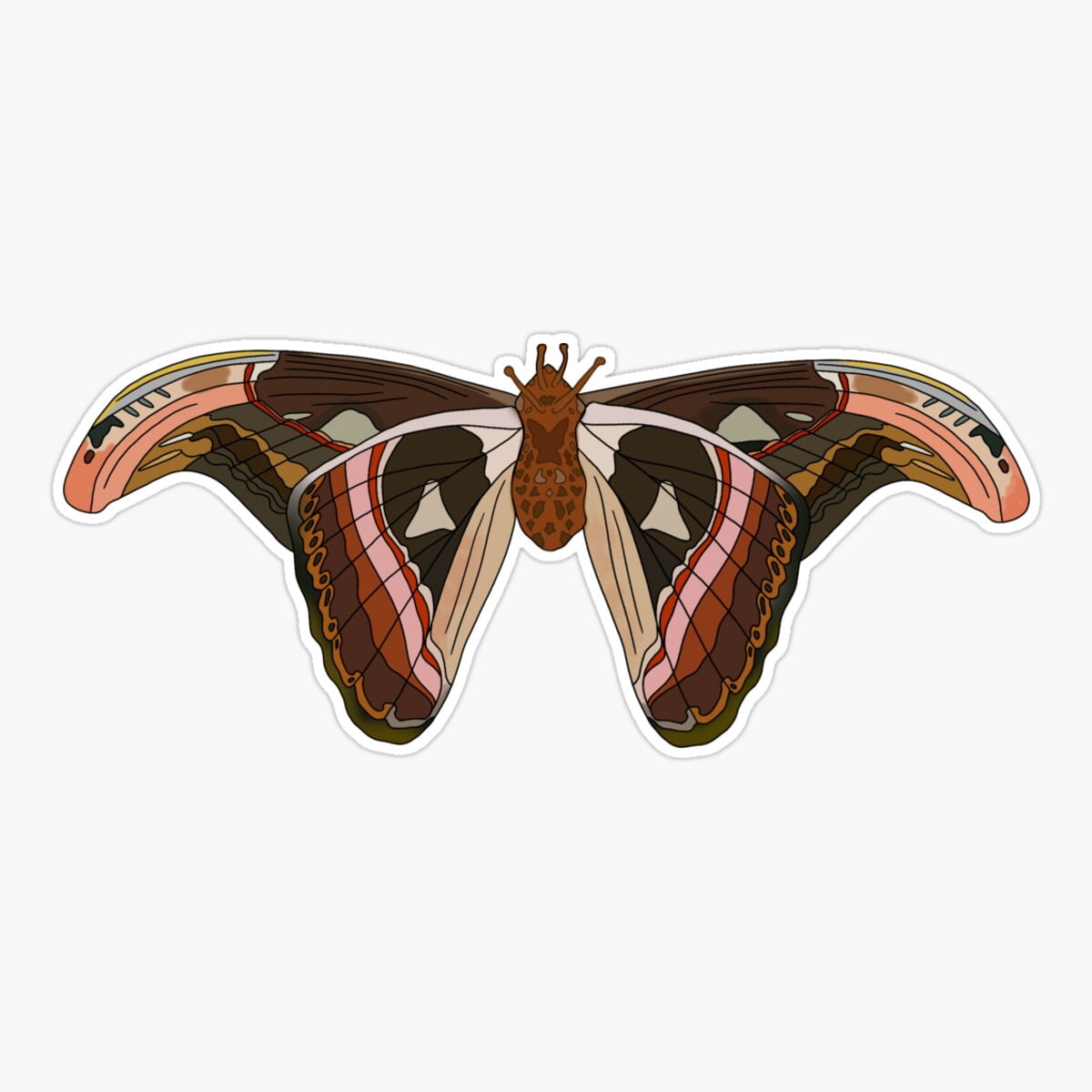 Onim Moth Cottagecore Sticker, Phone Decal Water Bottle Stickers Car ...