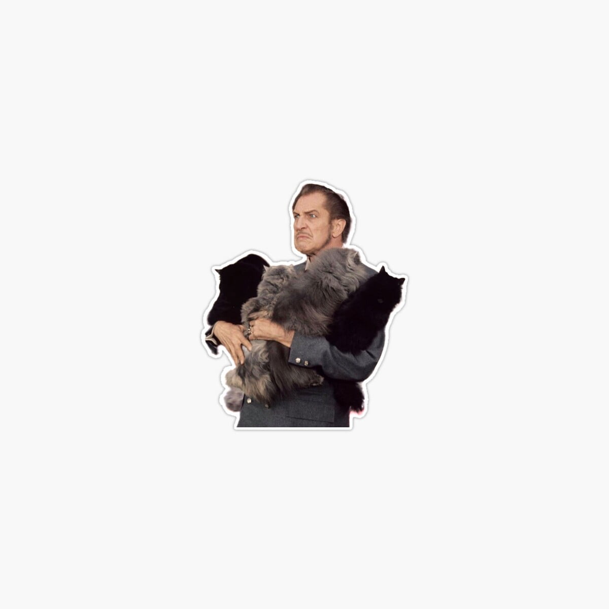 Onim Mr. Price Holding Cats Sticker, Phone Decal Water Bottle Stickers ...