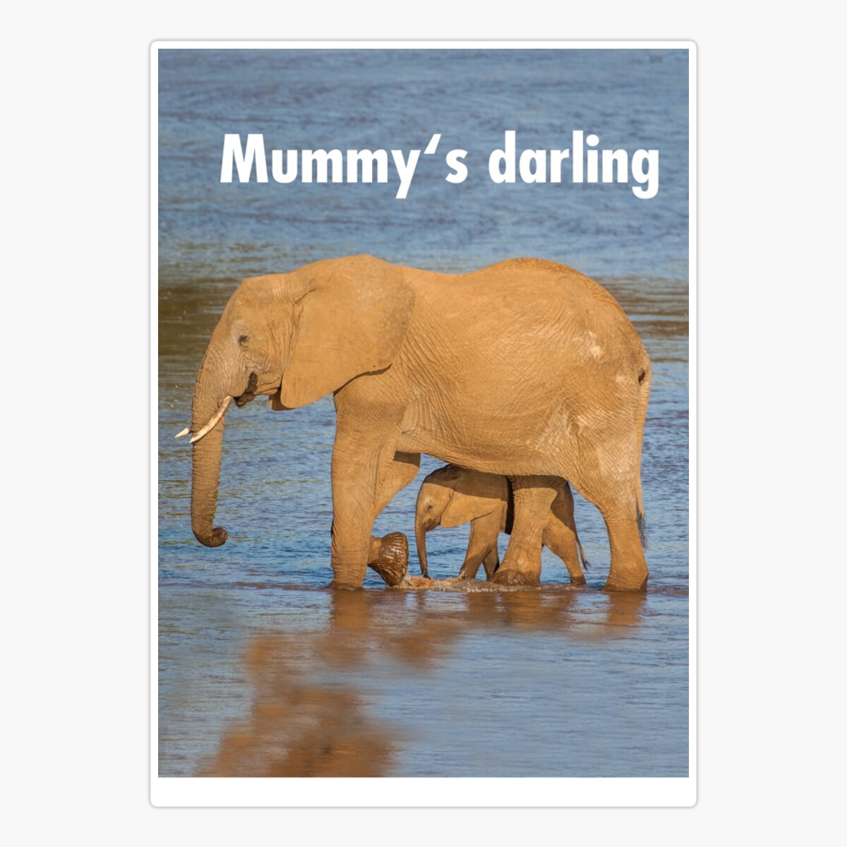 Onim Mummy'S Darling Sticker, Phone Decal Water Bottle Stickers Car ...