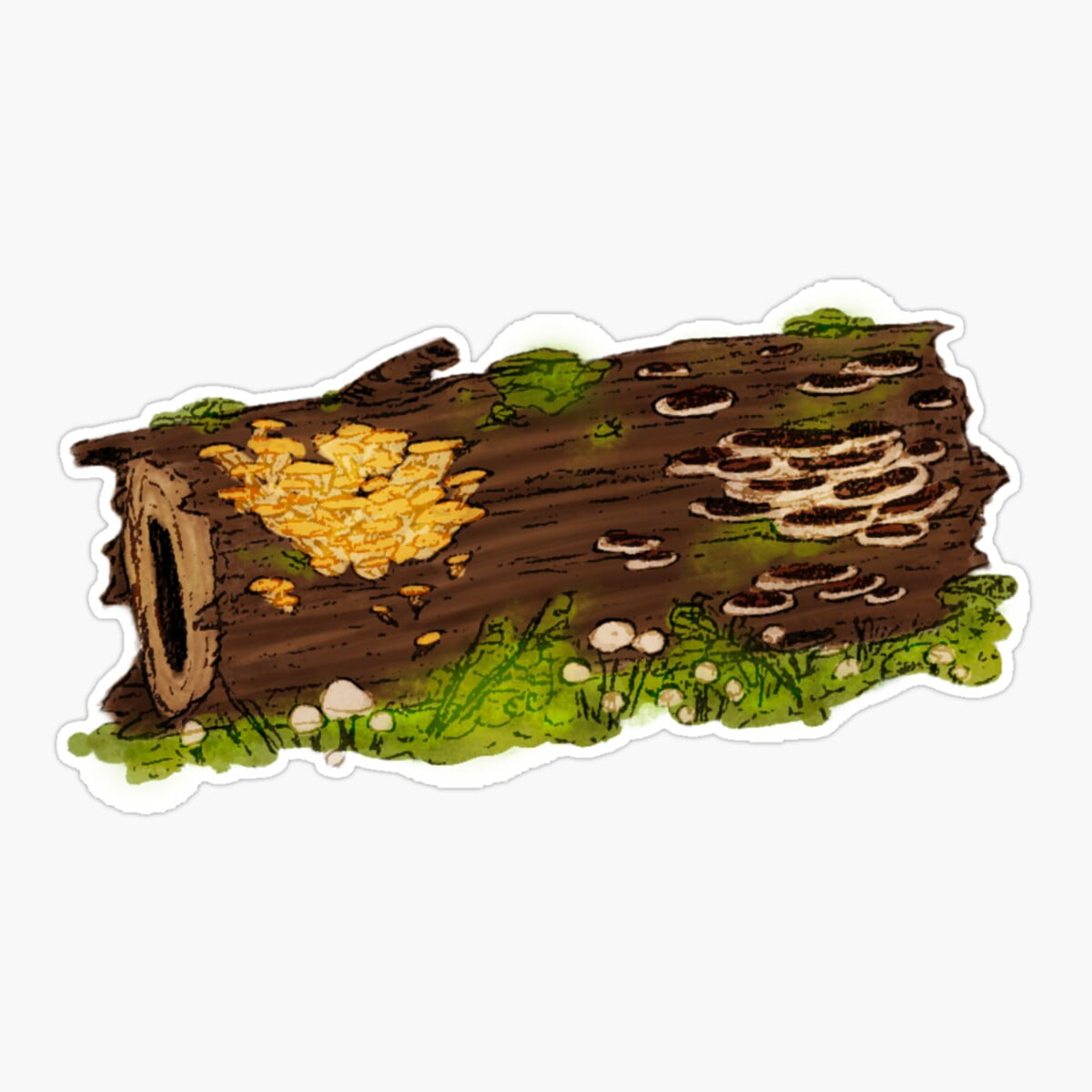 Onim Mushroom Log Sticker, Phone Decal Water Bottle Stickers Car Decals ...