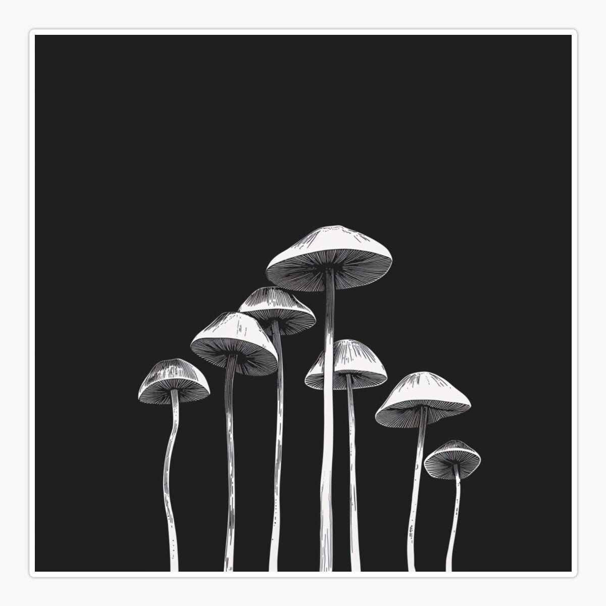 Onim Mushrooms Hand Drawing On Black Background - Botanical Dark ...