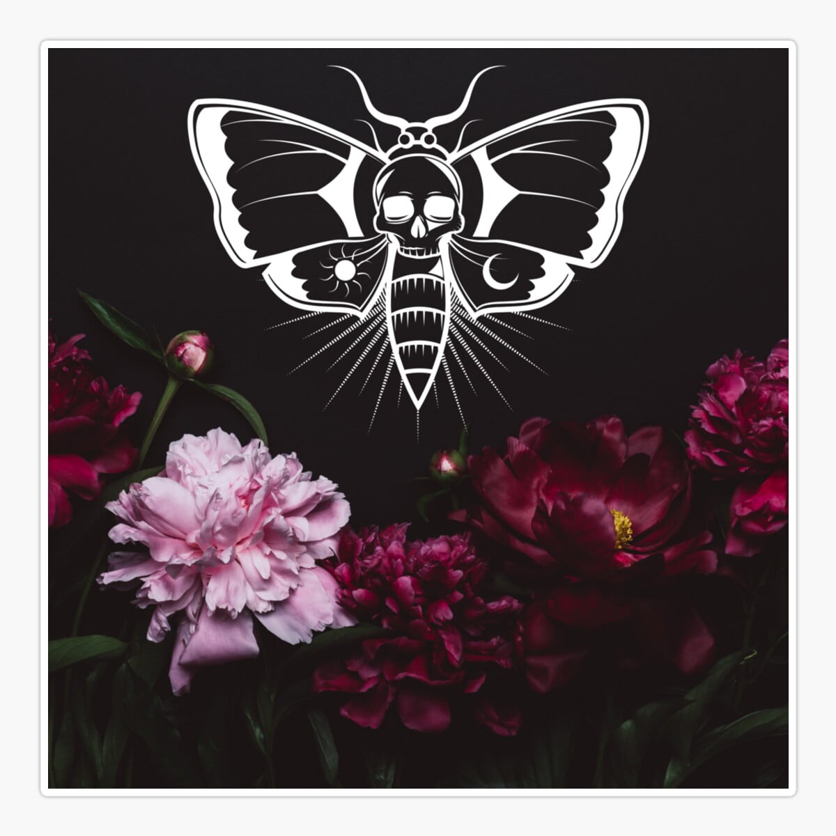 Onim Mystical Death Moth With Pink And Red Peonies Sticker, Phone Decal ...