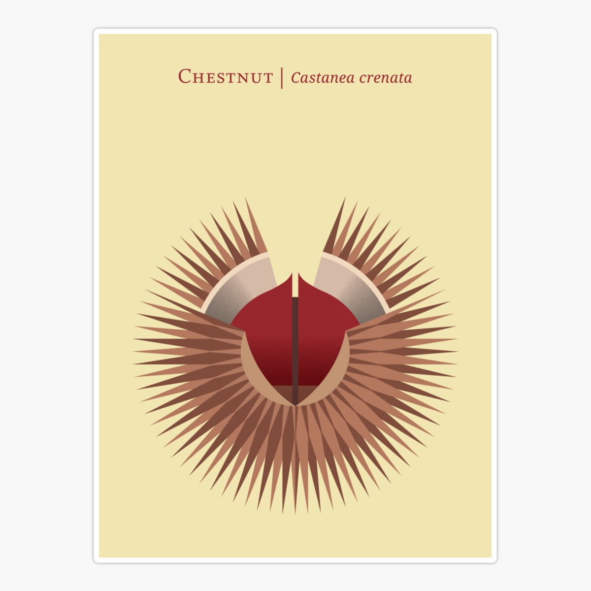 Onim Nature: Chestnut Sticker, Phone Decal Water Bottle Stickers Car ...