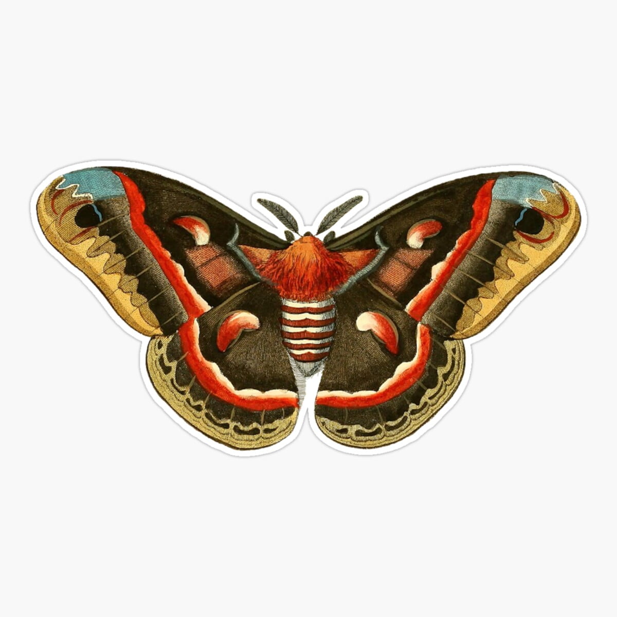 Onim Nature Dark Academia Botanical Butterfly Moth Dark Academia ...