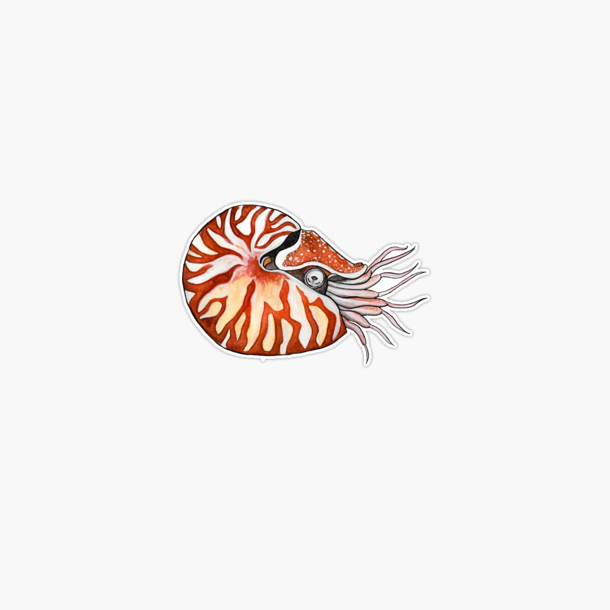 Onim Nautilus Sticker - Walmart.com