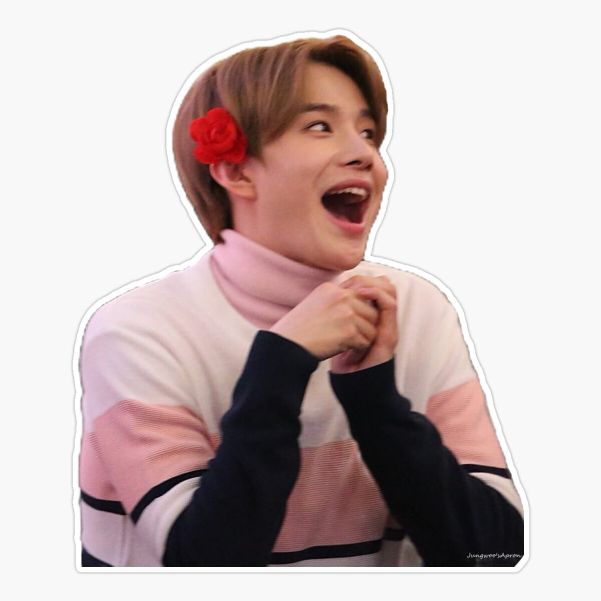 Onim Nct Jungwoo Sticker, Phone Decal Water Bottle Stickers Car Decals ...