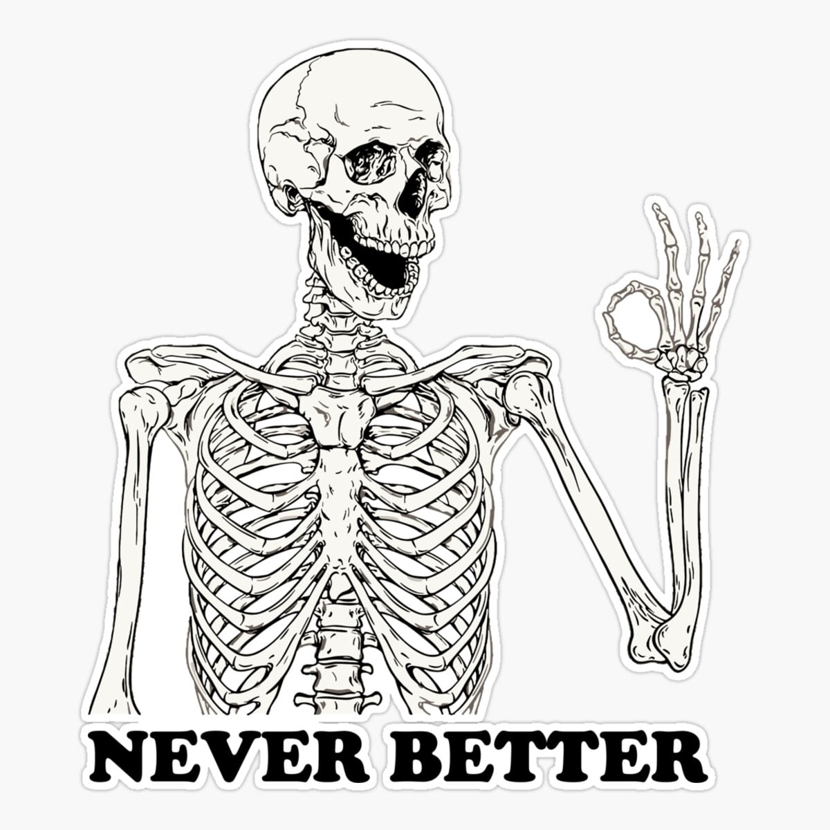 Onim Never Better Skull Skeleton Sticker, Phone Decal Water Bottle ...