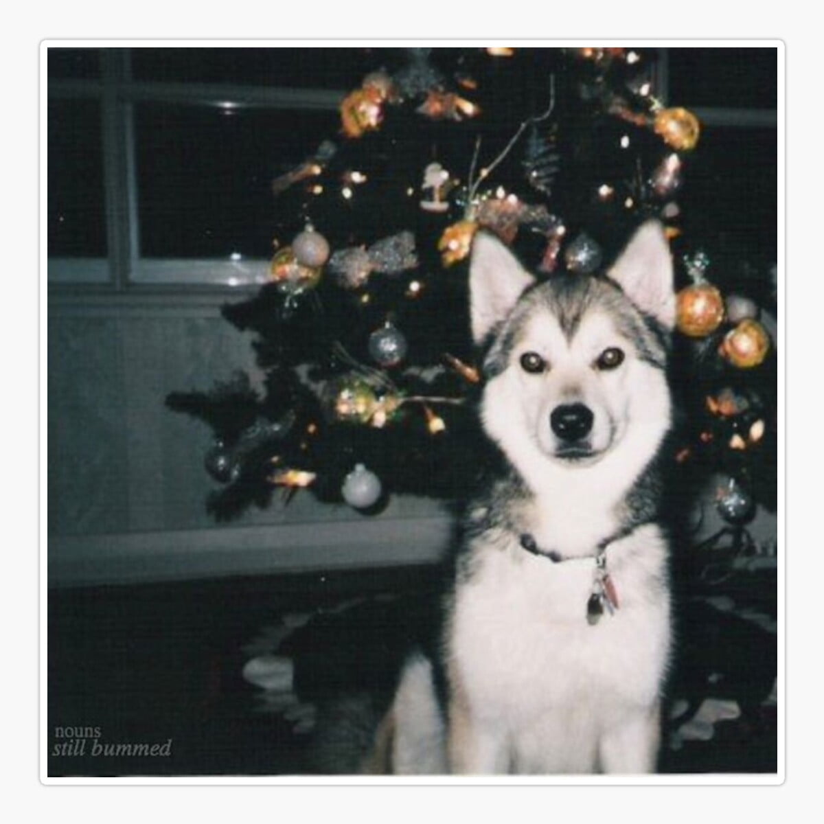 Onim Nouns - Still Bummed Album Cover Sticker, Phone Decal Water Bottle ...