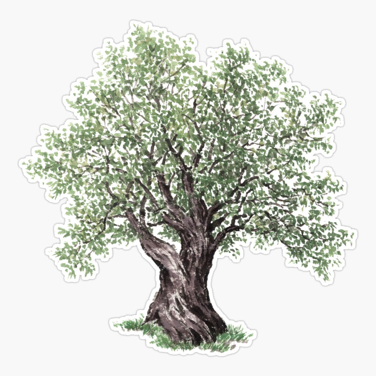 Onim October Birthday Olive Tree Sticker, Phone Decal Water Bottle ...