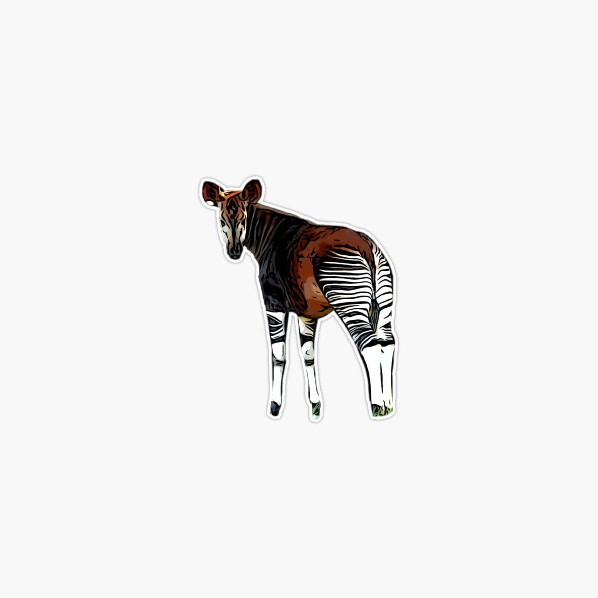 Onim Okapi Sticker, Phone Decal Water Bottle Stickers Car Decals, Funny ...