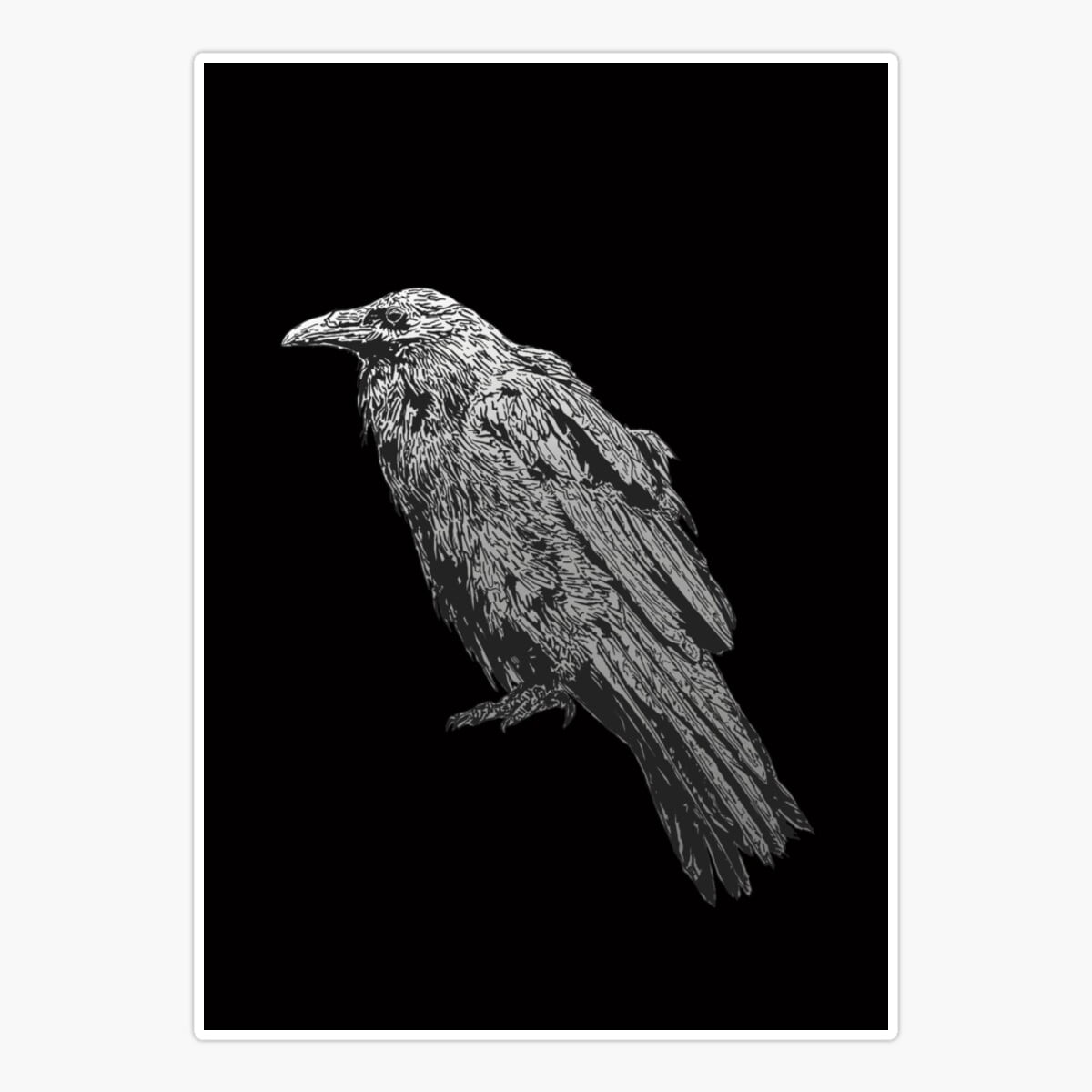 Onim Old Raven Sticker, Phone Decal Water Bottle Stickers Car Decals ...