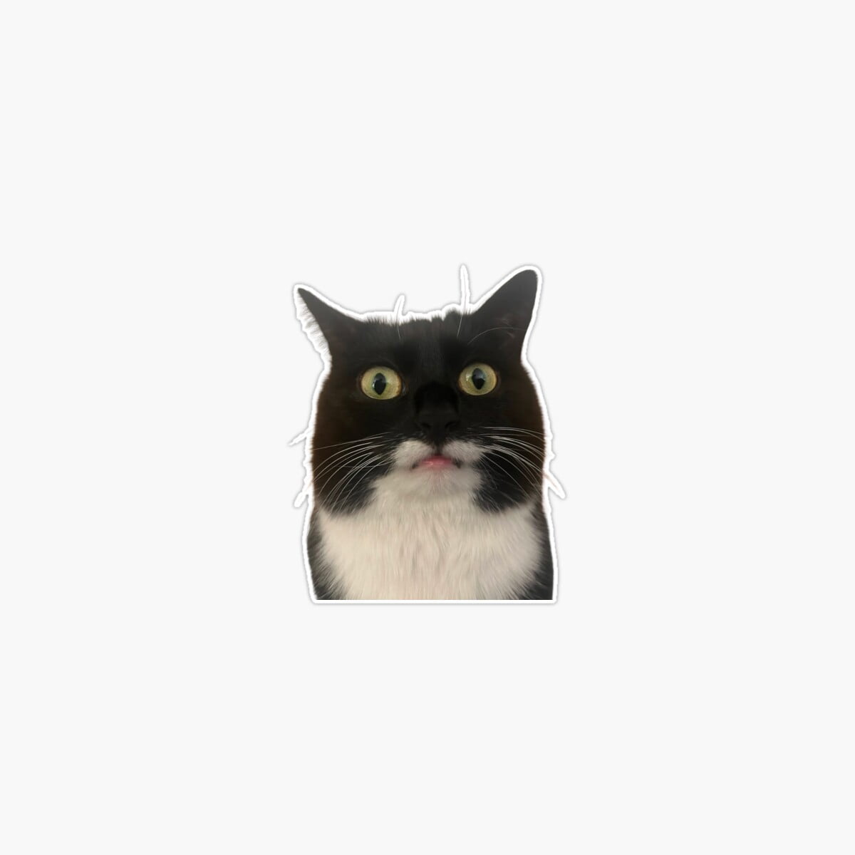 Onim Omg Jyn Sticker, Phone Decal Water Bottle Stickers Car Decals ...