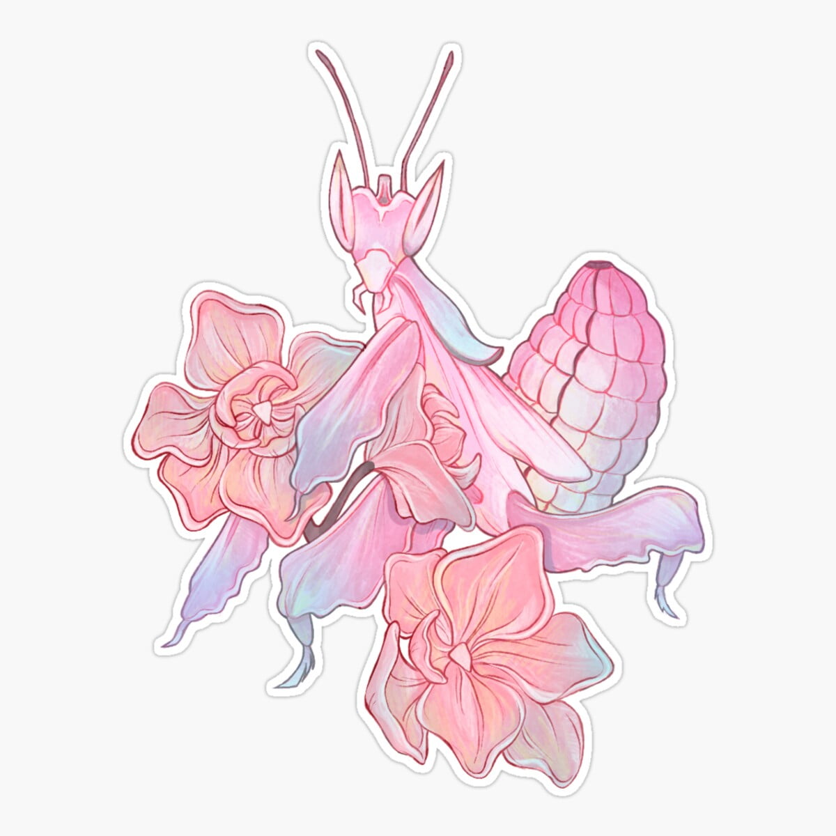 Onim Orchid And Orchid Mantis Sticker, Phone Decal Water Bottle ...