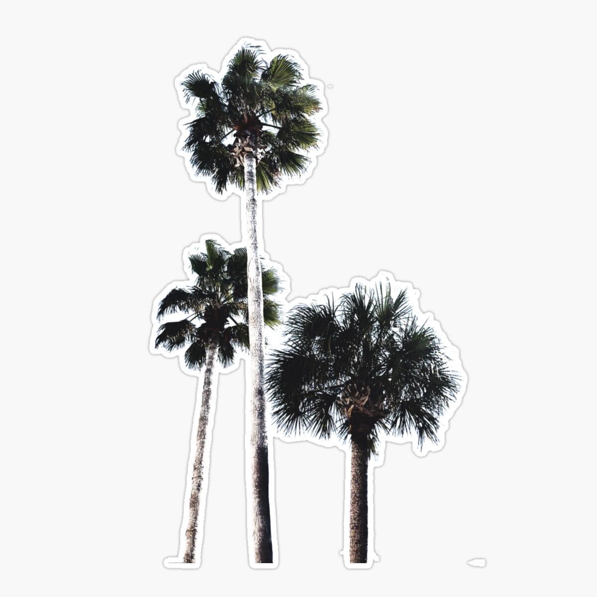 Onim Palm Tree Sticker Sticker, Phone Decal Water Bottle Stickers Car ...