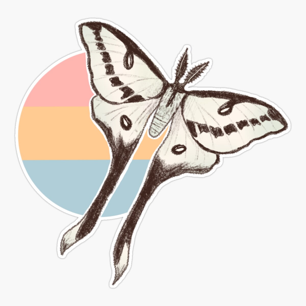 Onim Pansexual Moth Sticker, Phone Decal Water Bottle Stickers Car ...