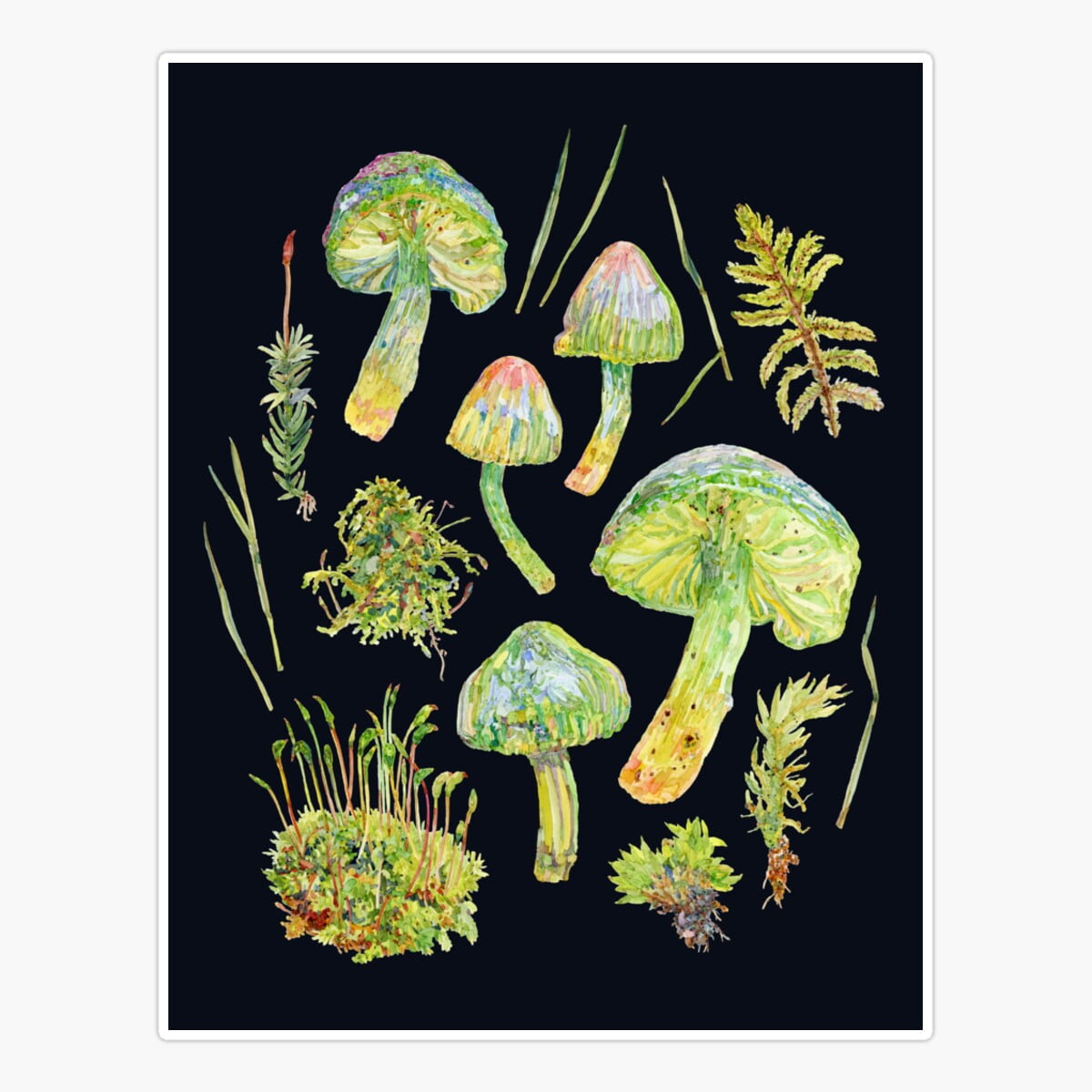 Onim Parrot Toadstools And Moss - Dark Sticker, Phone Decal Water ...