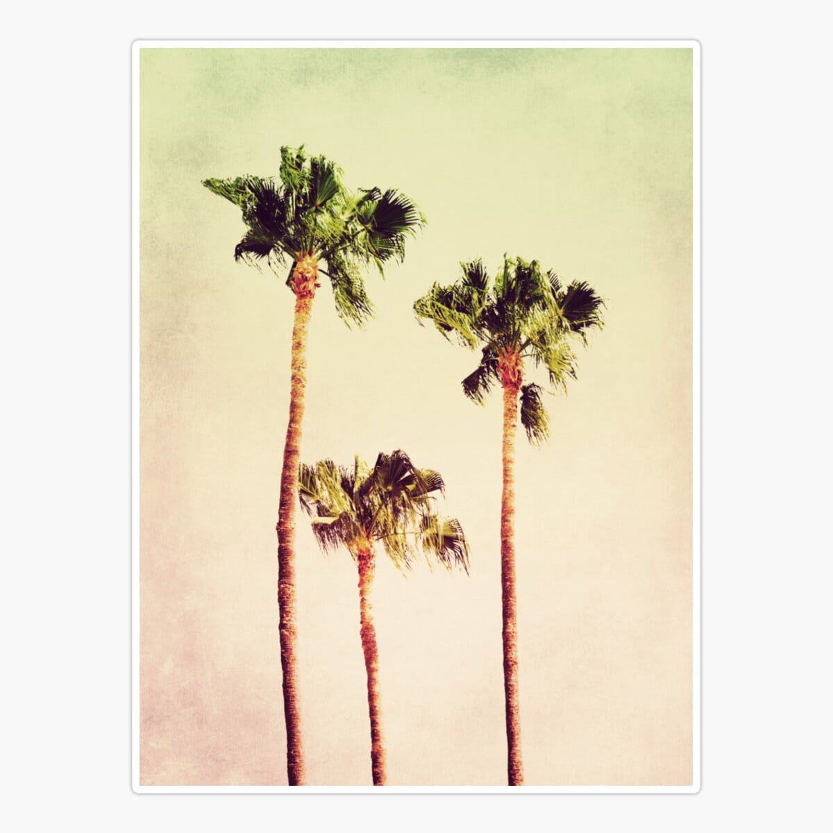 Onim Pastel Palm Trees No2 Sticker, Phone Decal Water Bottle Stickers ...