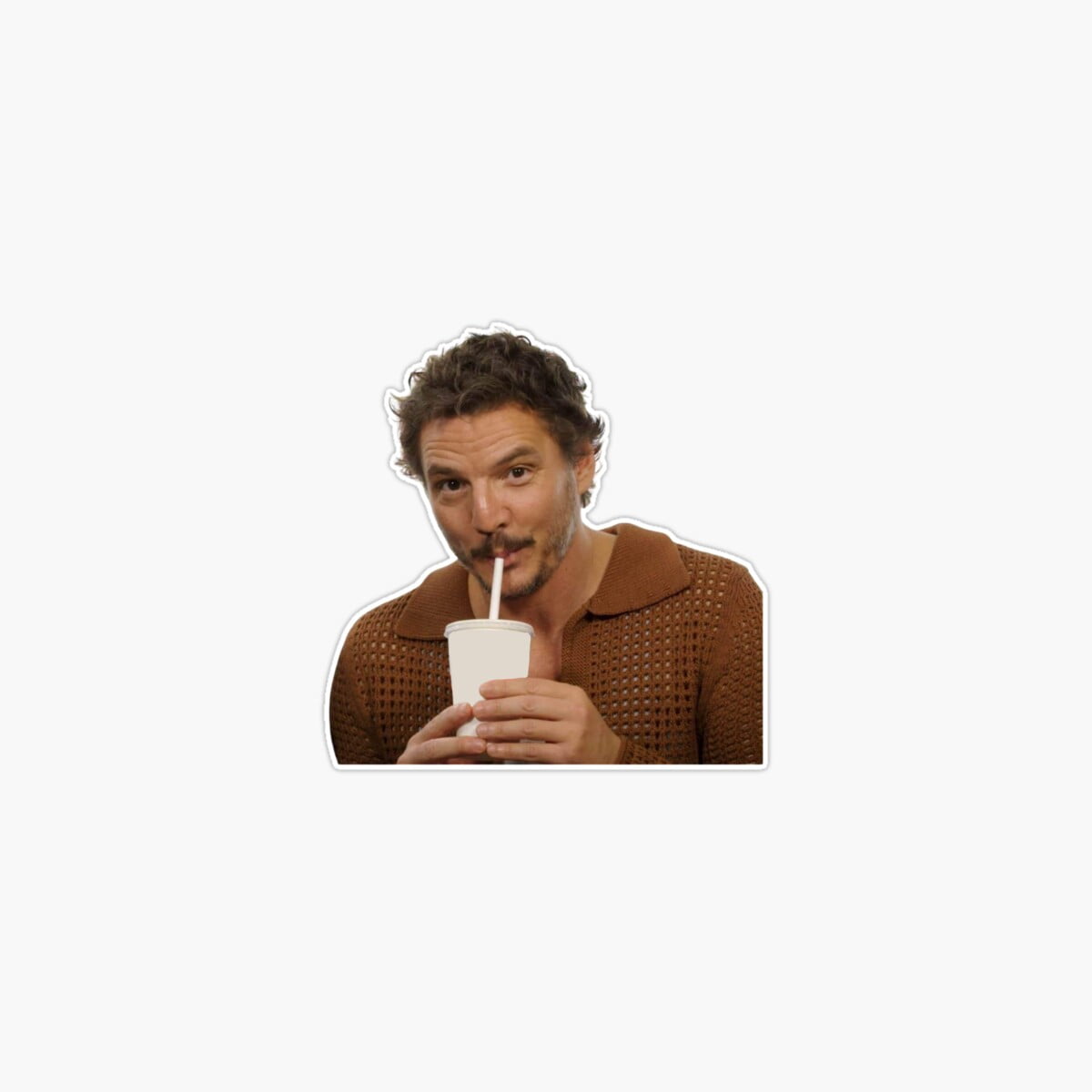 Onim Pedro Pascal Drinking Sticker, Phone Decal Water Bottle Stickers ...