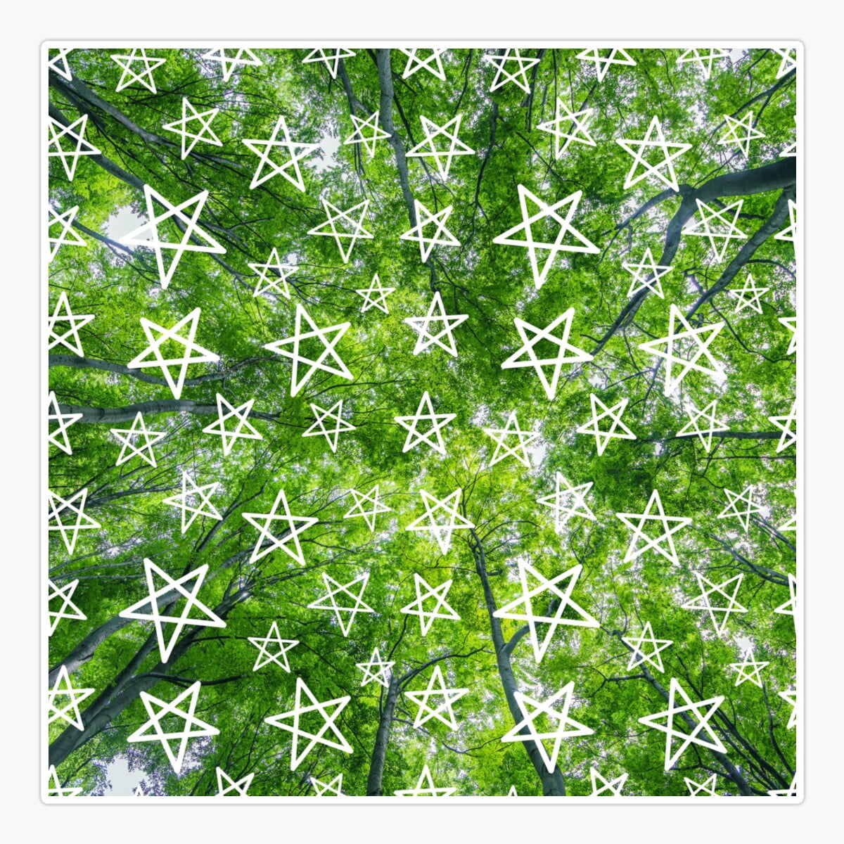 Onim Pentagrams In The Forest Dark Woodland Sticker, Phone Decal Water ...
