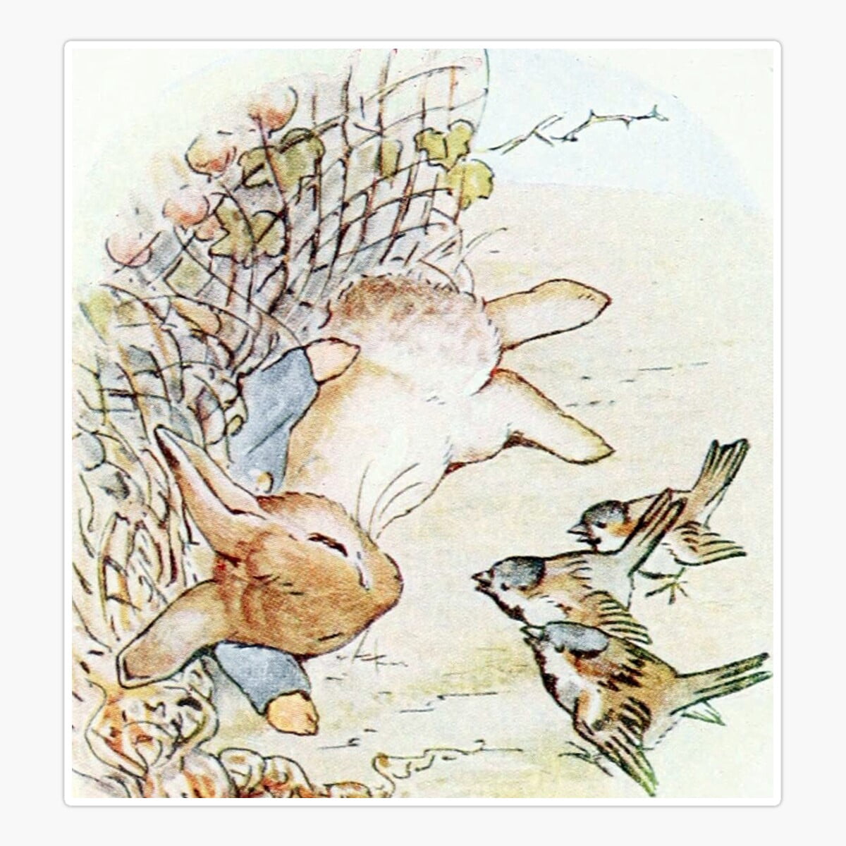 Onim Peter Rabbit Caught In A Net - Beatrix Potter Sticker, Phone Decal ...