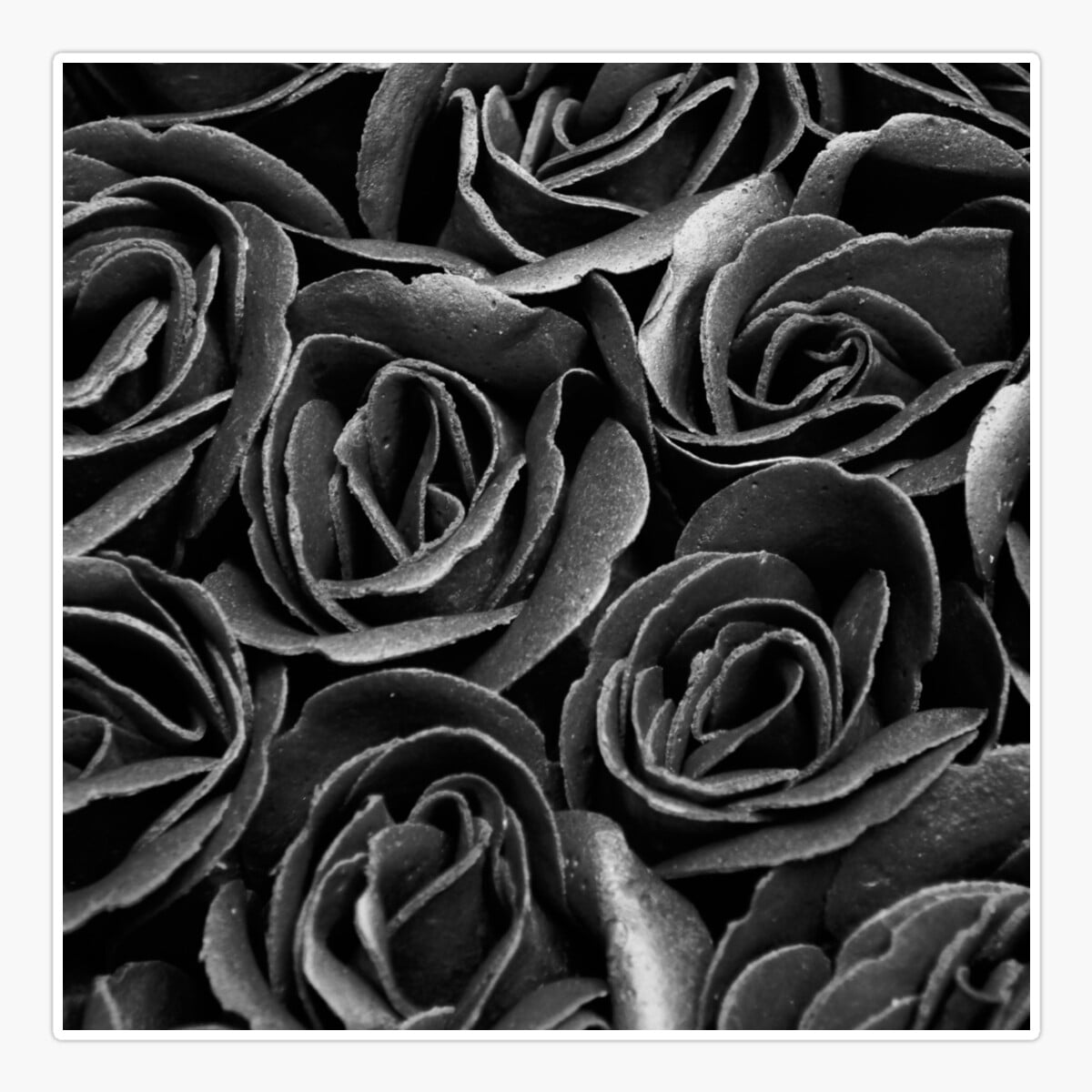 Onim Photo Of Black Roses Sticker, Phone Decal Water Bottle Stickers ...