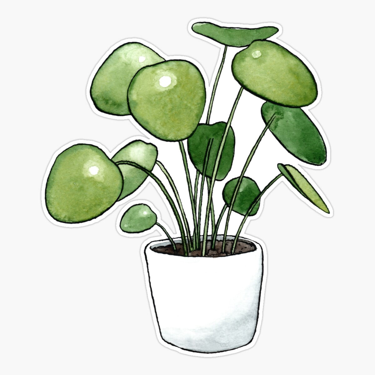 Onim Pilea Peperomioides Plant Sticker, Phone Decal Water Bottle ...