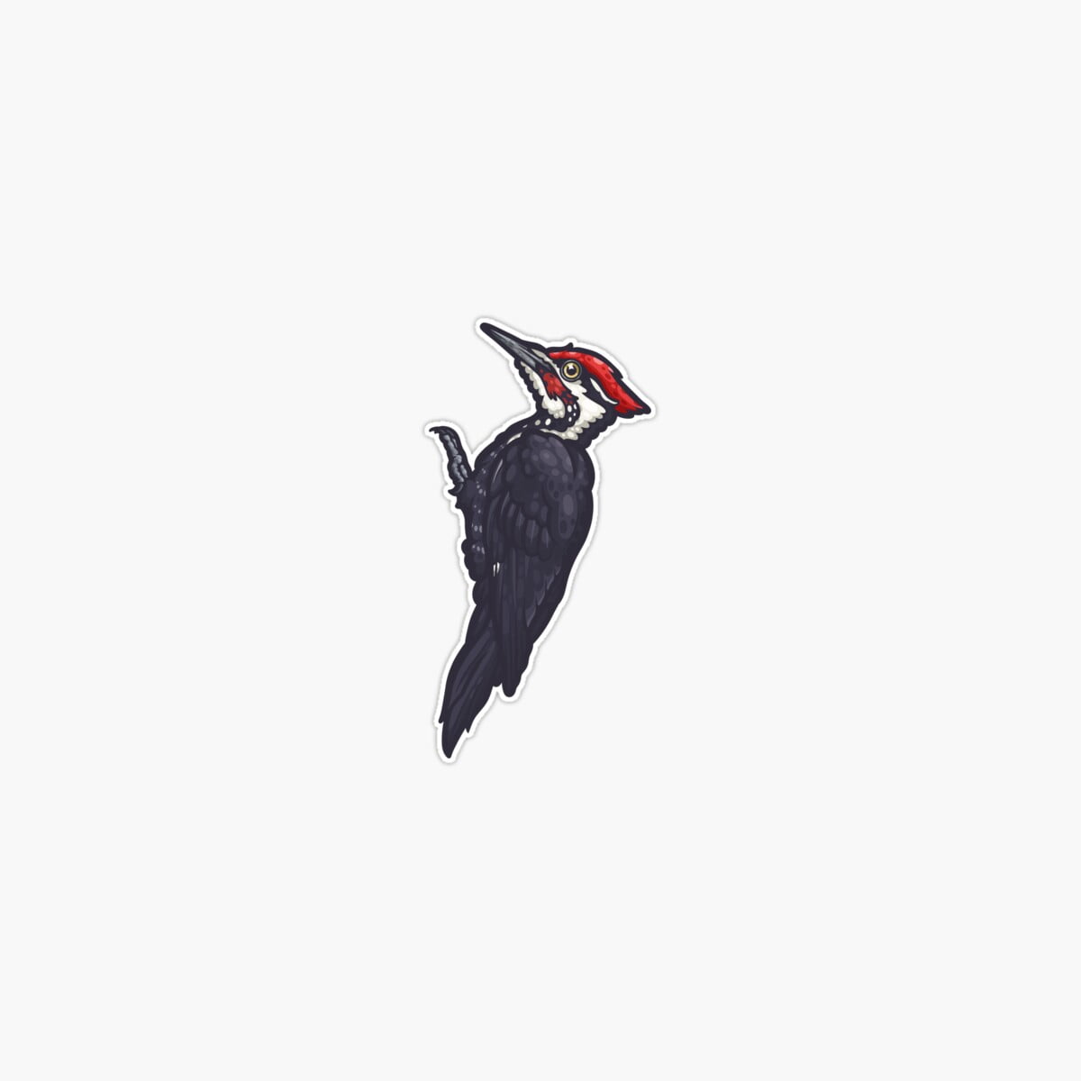 Onim Pileated Woodpecker Sticker, Phone Decal Water Bottle Stickers Car ...